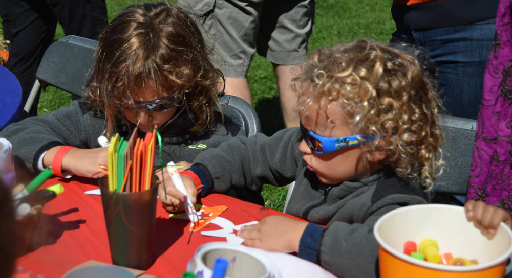 "Fall Fest" Picnic and BBQ - Windy City Fieldhouse